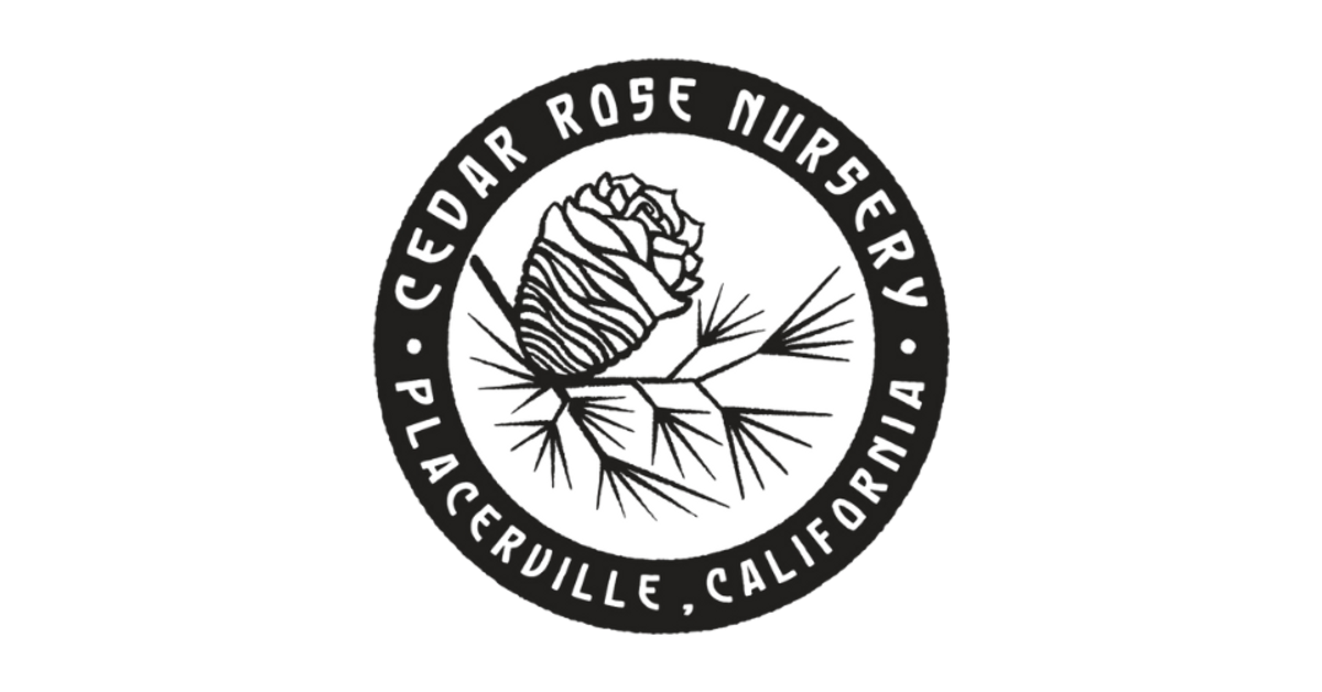 Cedar Rose About Us | Cedar Rose